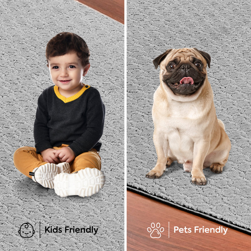 Ebern Designs Samaad Rug | Wayfair